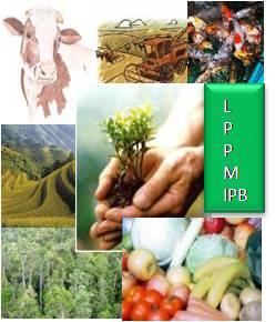 Alamat Baru Website LPPM IPB - DRI IPB