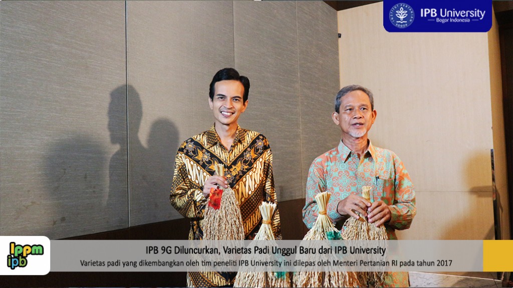 IPB 9G Diluncurkan, Varietas Padi Unggul Baru dari IPB University - DRI IPB